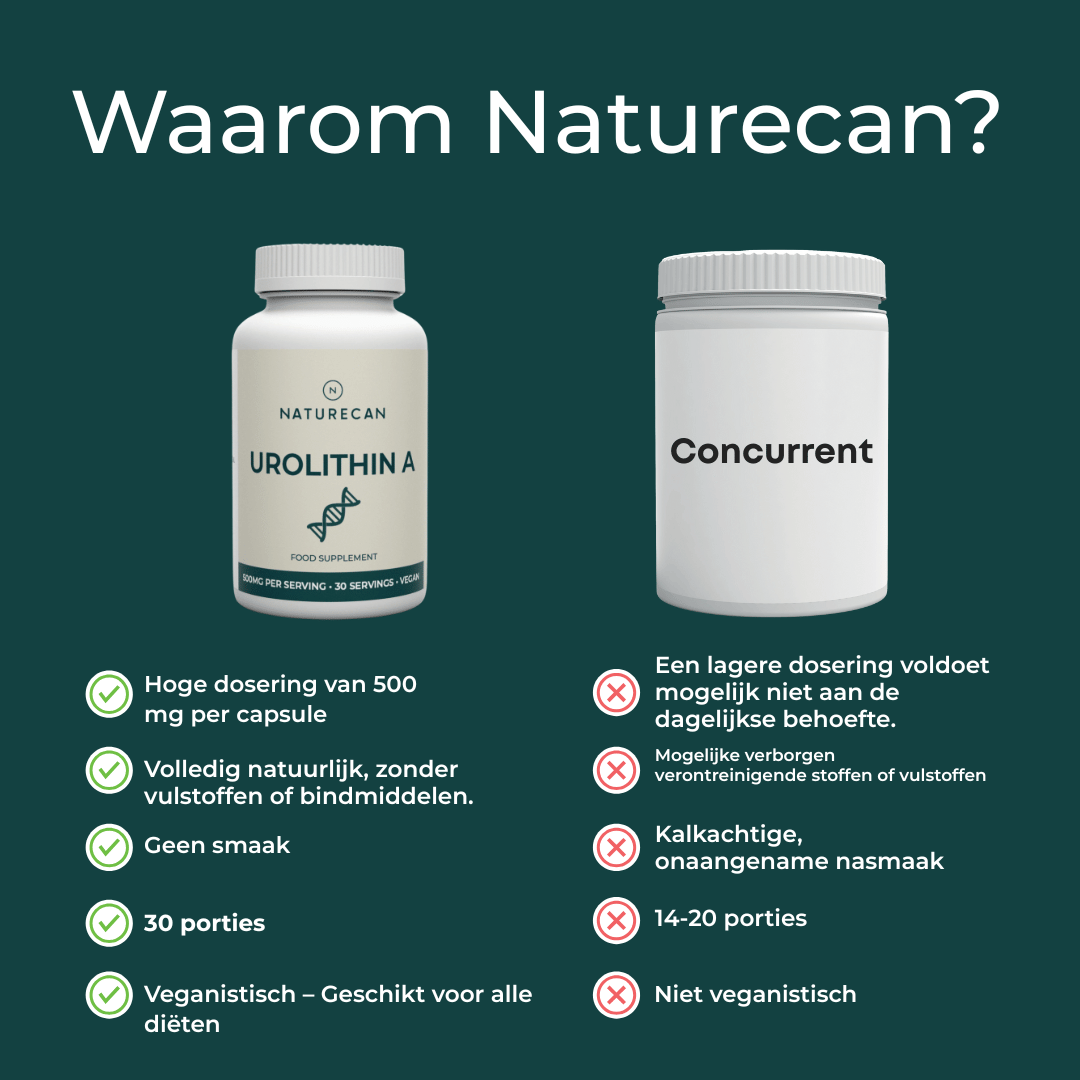 Telomeren en veroudering | Bescherm je DNA voor een lang leven ...