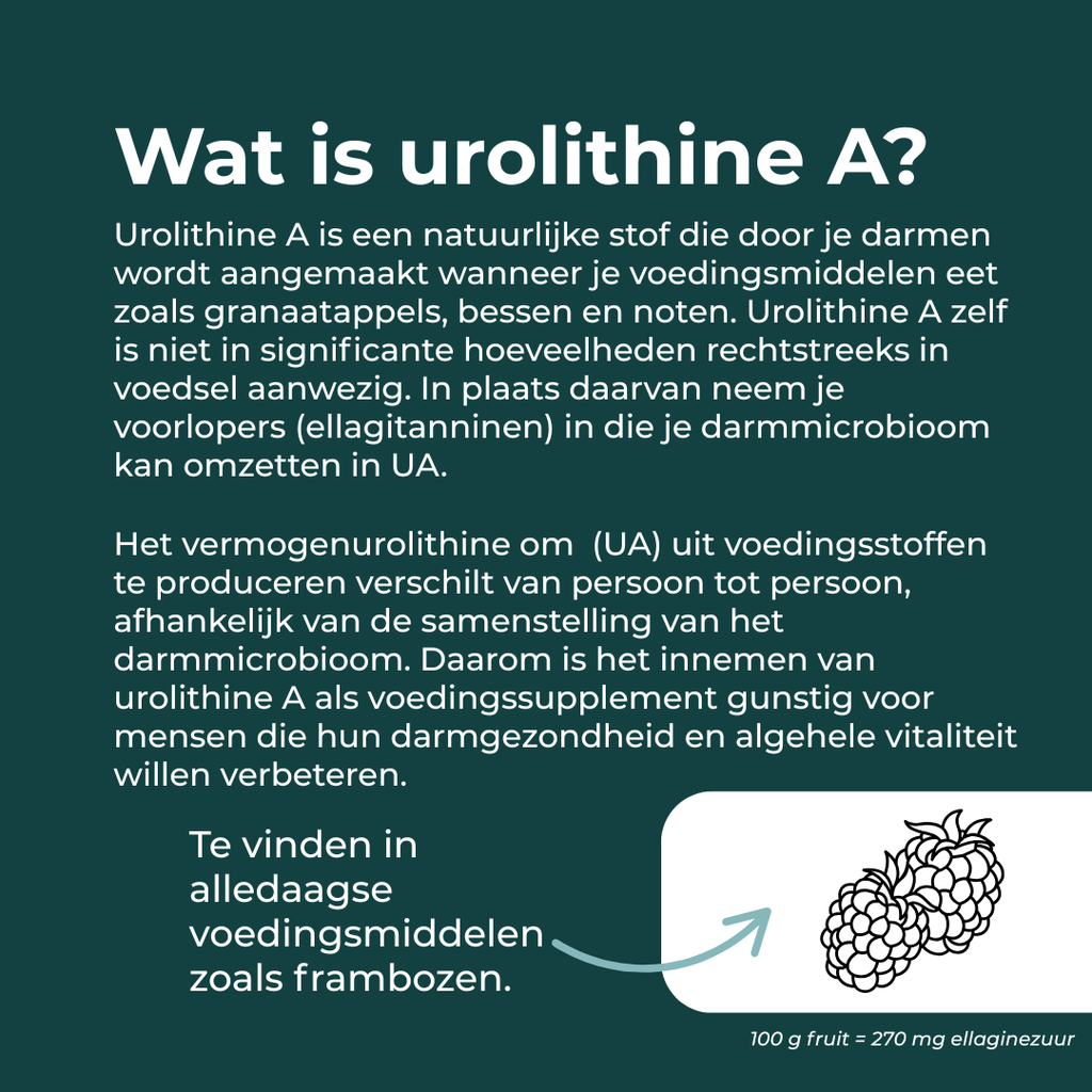 Telomeren en veroudering | Bescherm je DNA voor een lang leven ...